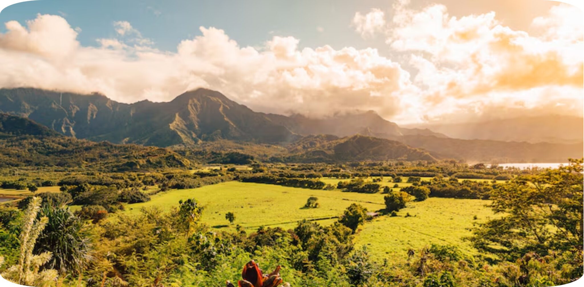 Productos Terra Zan – Grupo Terra Zan