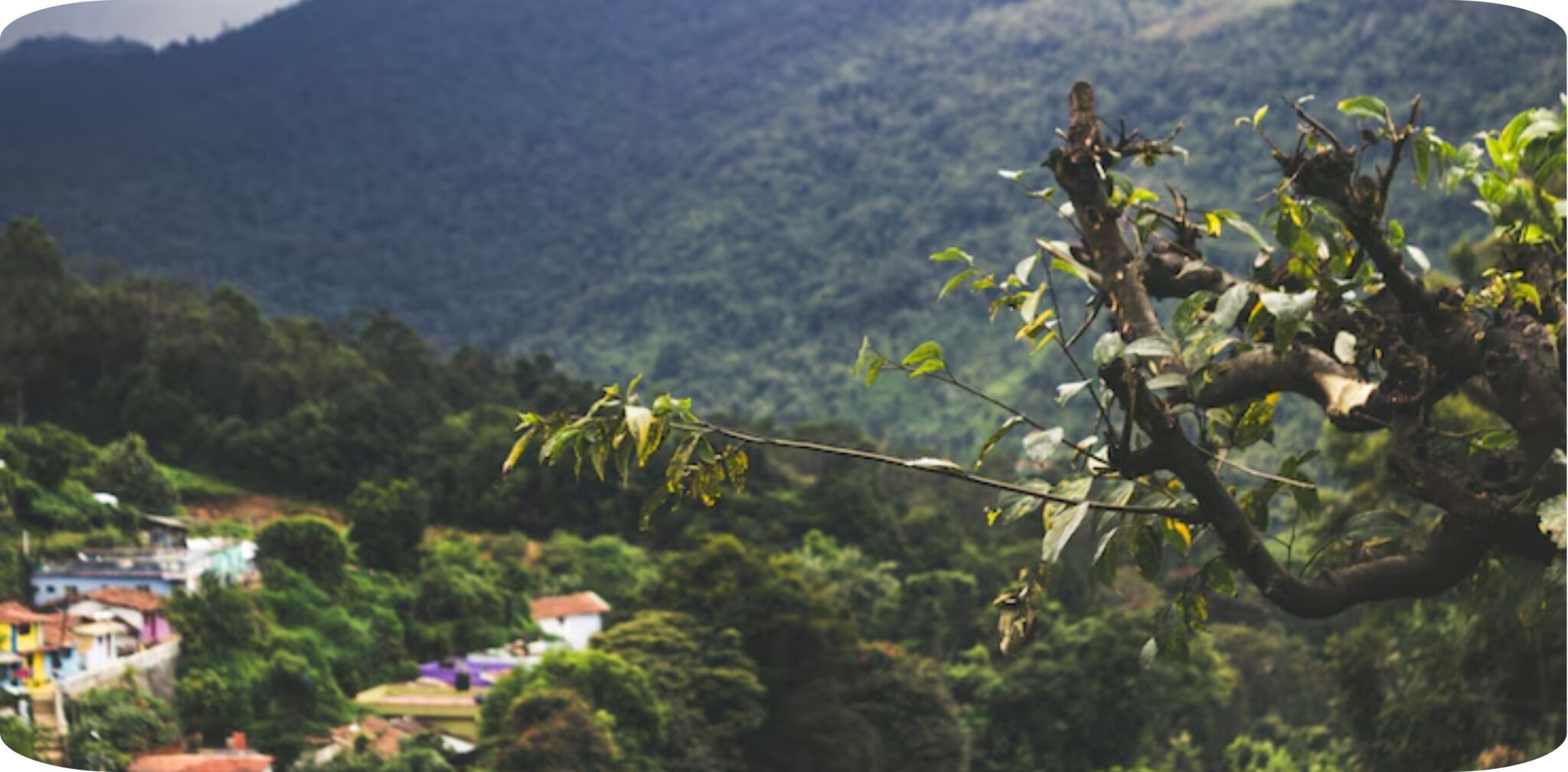 Productos Terra Zan – Grupo Terra Zan